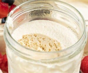 Vegan Yogurt Recipe - So thick & creamy! - A Virtual Vegan