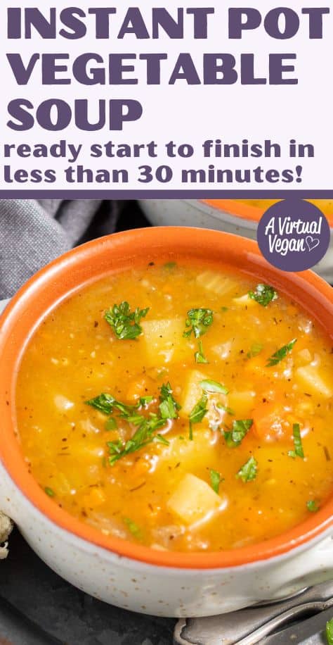Instant Pot Vegetable Soup - A Virtual Vegan